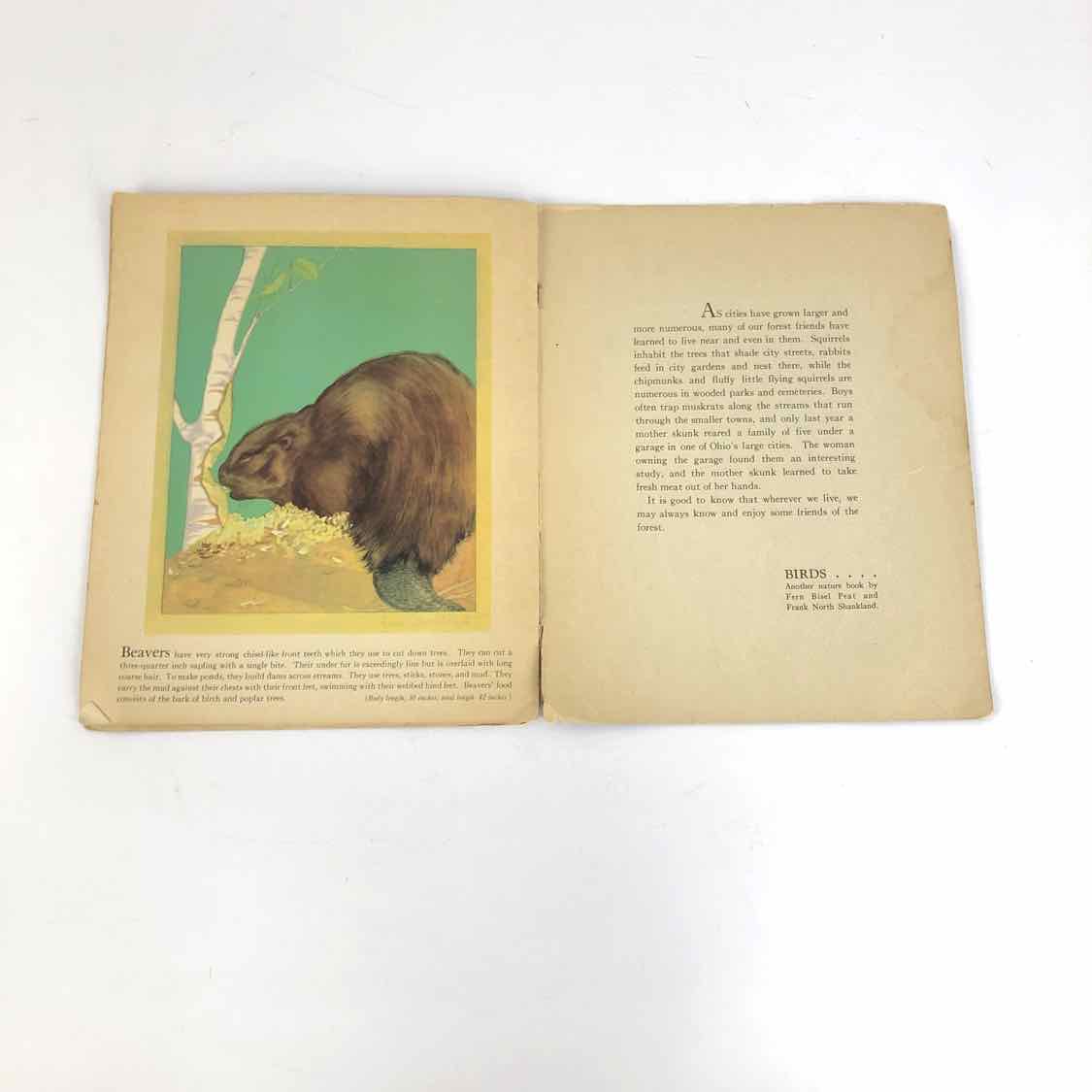 Forest Friends Book – Found Furnishings